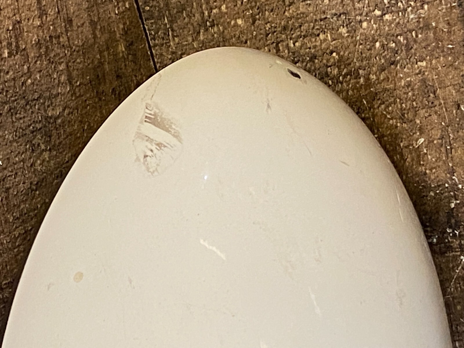 2002-2006 MINI COOPER R50 R52 R53 LEFT SIDE VIEW MIRROR PEPPER WHITE 3 ...