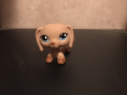AUTHENTIC Littlest Pet Shop #518 Dachshund Seaside Celebration LPS ...