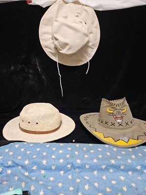 Brimmed Hats Lot of Three Men size Regular | eBay