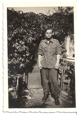 WWII German RP- Army Soldier- Uniform- Rolled Up Sleeves- In The Garden ...