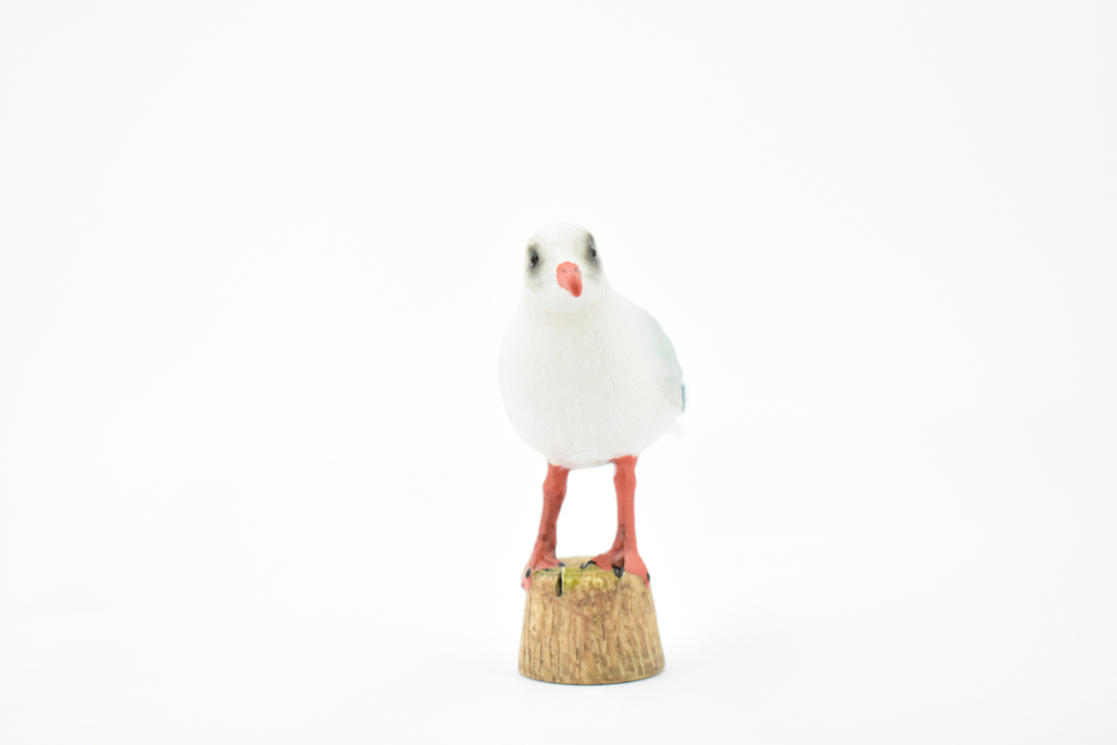 Seagull, Sea Gull, Realistic Toy Bird Figure, Model, Replica, 3.5 ...