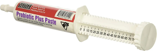 Bomac Vets Plus Goats Prefer Probiotic Paste Tube Antibiotic Therapy ...