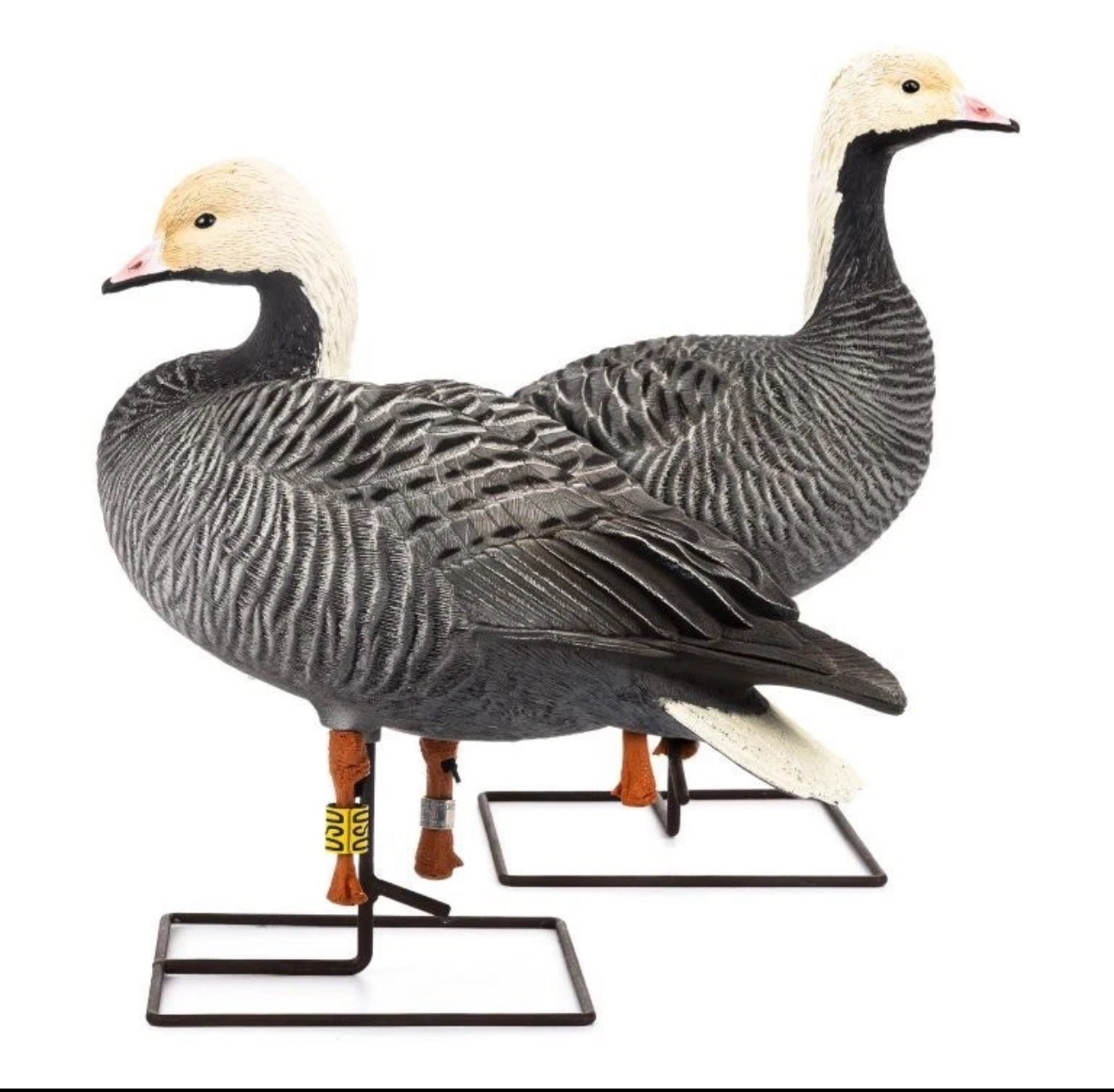 Dave Smith Decoys limited Series Edition Emperor pair DSD | eBay