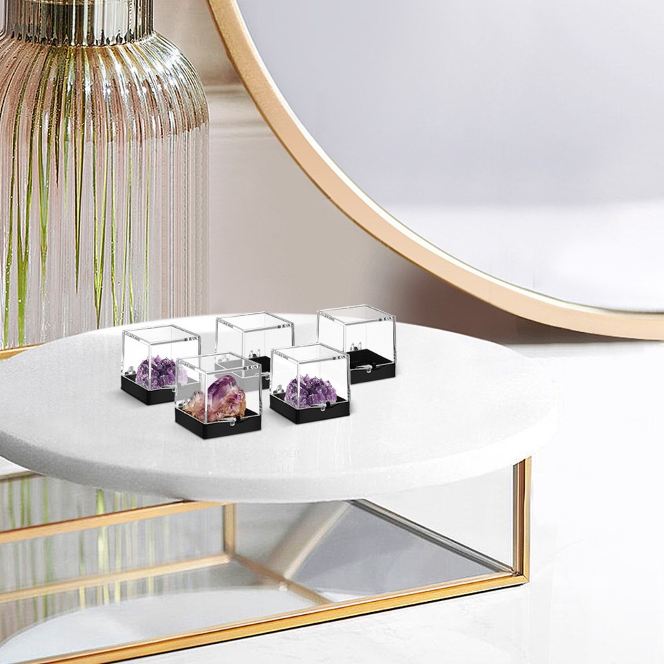 Set of 2 Specimen Display Box Clear Case Travel Mineral Specimine Accessories | eBay