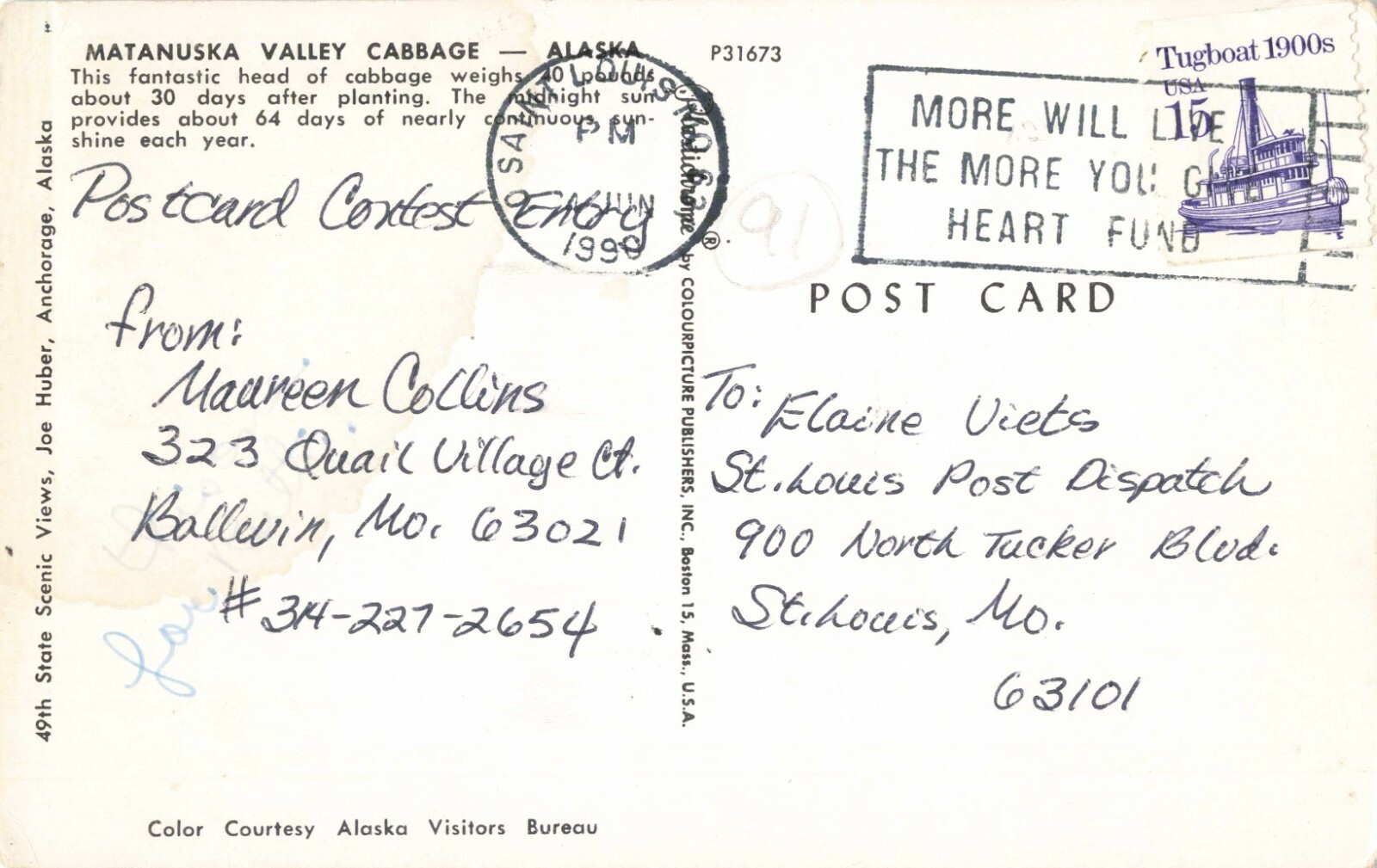 Postcard Matanuska Valley Cabbage Alaska | eBay