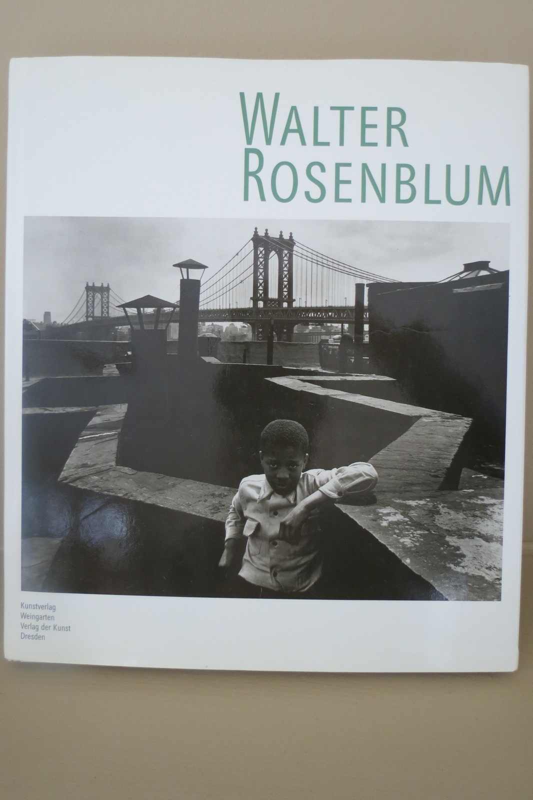 Shelley Rice, Naomi Rosenblum WALTER ROSENBLUM 1990 SIGNED | eBay