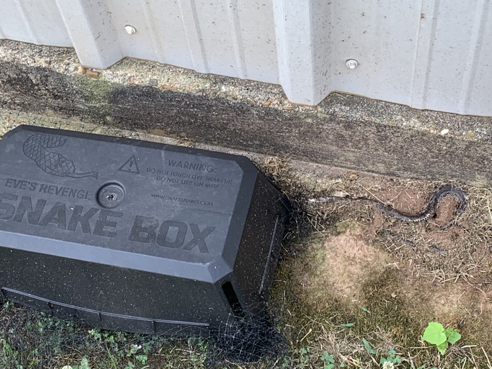 Eve's Revenge Snake Box, Snake Trap, Snake trapping Box with Pheromone ...