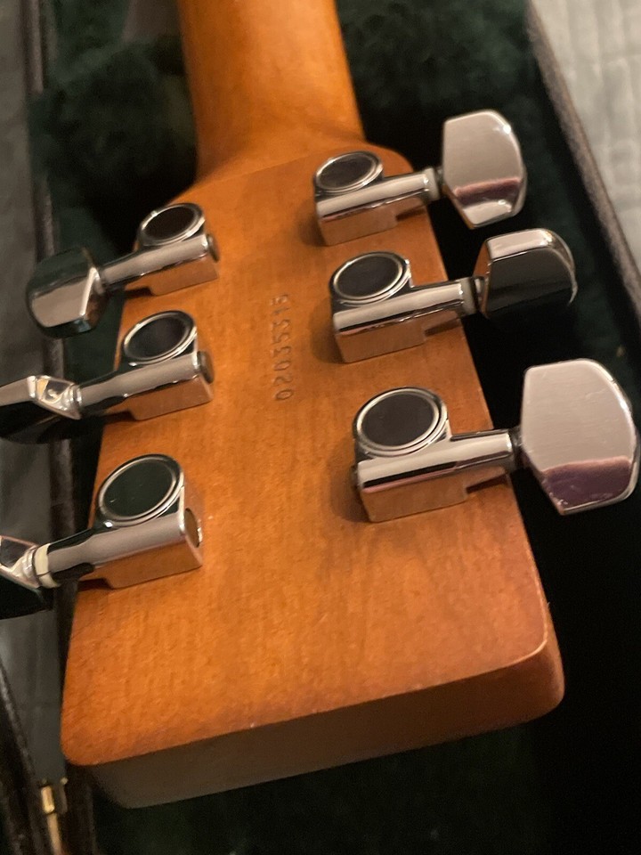 Simon Patrick Luthier Martin Hard Shell acoustic Gibson gretsch gretsch ...