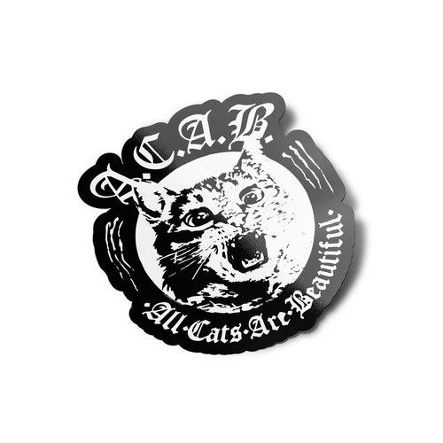 PACK x5 AUTOCOLLANTS Stickers All Cats Are Beautiful acab anarchist ...