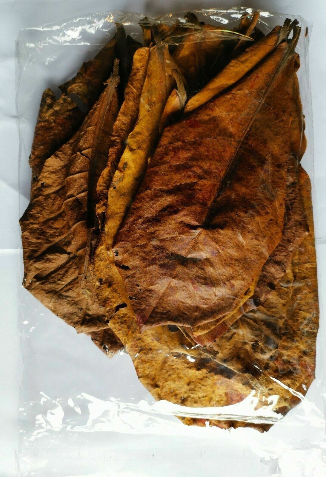 Kottan, Kottamba / Terminalia catappa dried Leaves Sri Lankan Product ...