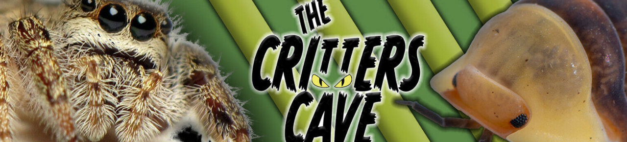 The Critters Cave | eBay Stores