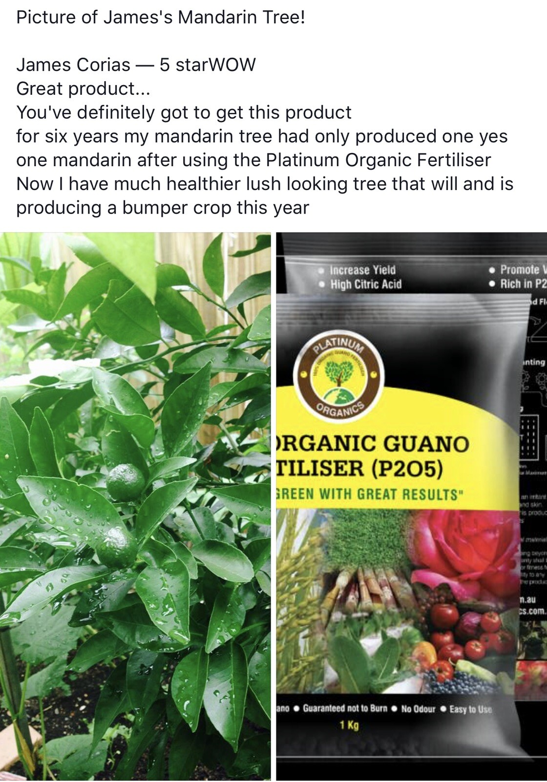 2KG Seabird Guano Fertilizer - High Phosphorus PLATINUM ORGANICS ...