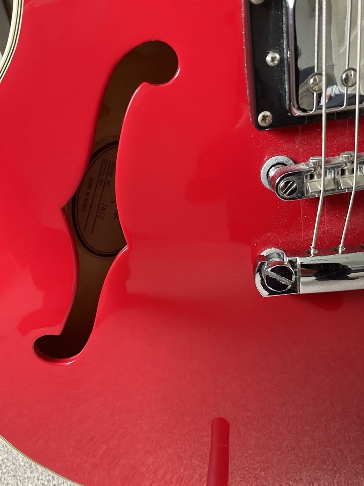 Aslin Dane Jazz Guitar | eBay UK