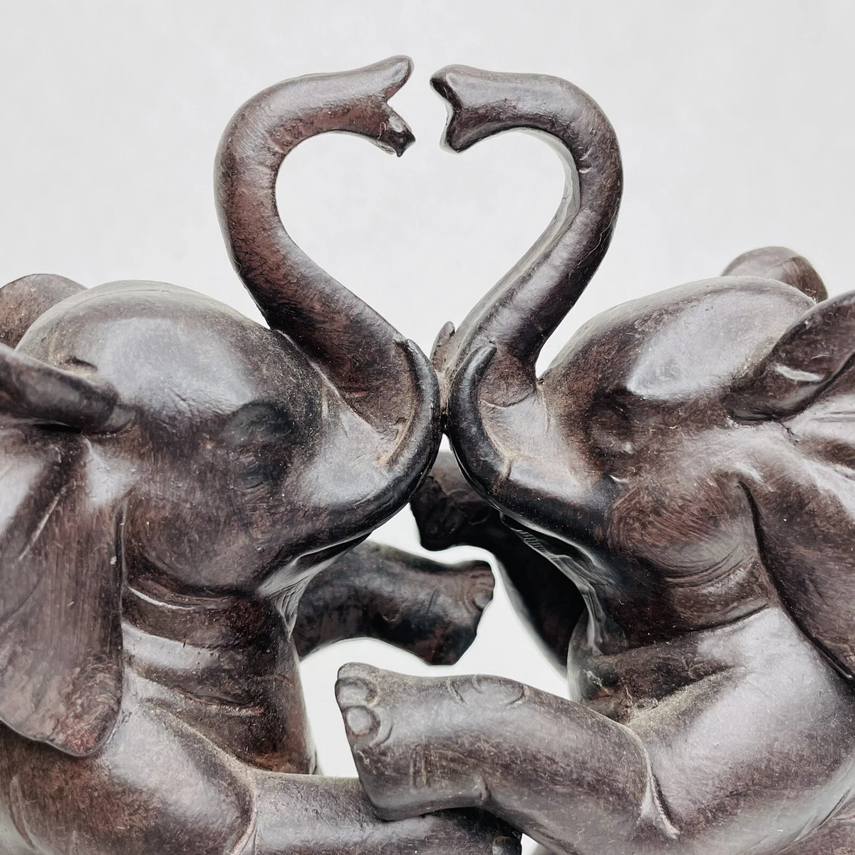 Elephant Trunk Heart