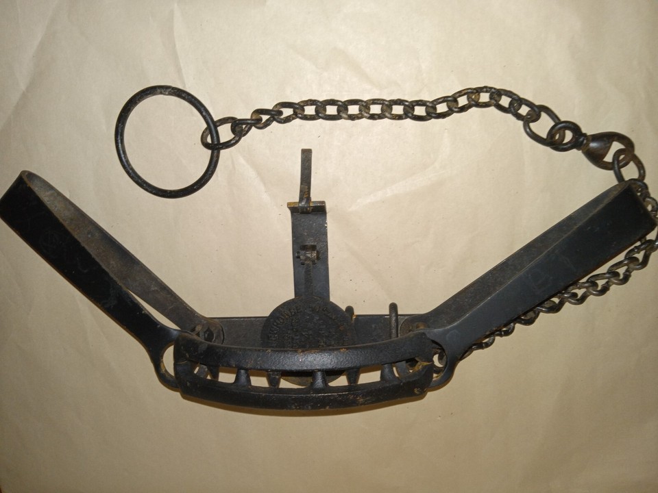 ONIEDA S. NEWHOUSE No. 4, Double Long Spring Traps, Two Rare TRAPS w ...
