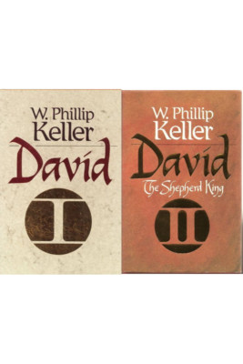 David Series All 2 Books in Hardcover 9780849904707| eBay