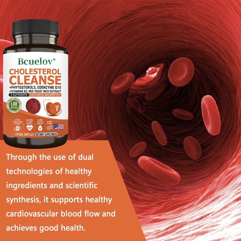 Cholesterol Cleanse- Healthy Heart Blood Vessels Artery Circulation ...