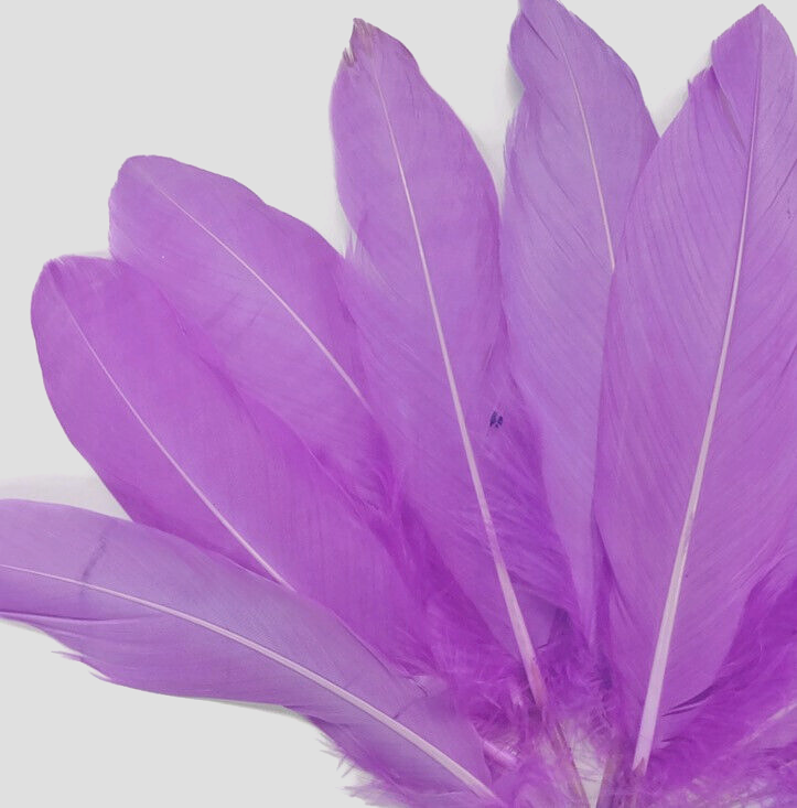Light Purple Goose Feathers 6-8" 12 Pc Wedding Millinery Crafts ...