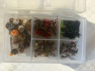 Over 100 Lake Flies In Box G124 | eBay