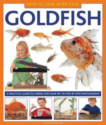 How to Look after Your Goldfish : A Practical Guide to Caring for ...