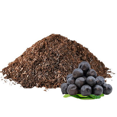 Dried Black Lime Powder | Organic Pure Natural Lemon Limoo Lumi ...