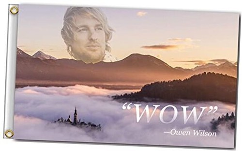 W Funny Flag 3x5 Feet Man Cave Wall Flag Meme Tapestry for College Dorm ...