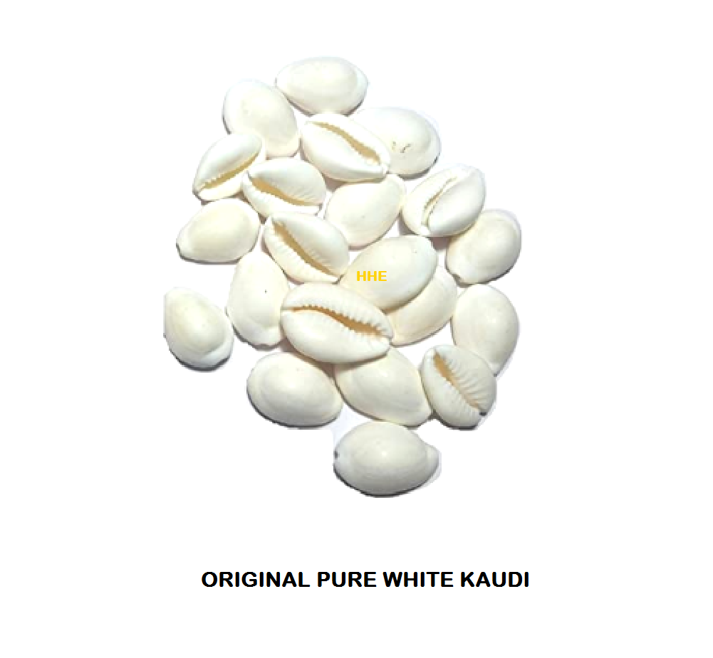 Hari Har Exim Peeli Kaudi White Kaudi Natural for Laxmi Pooja (Pack of ...