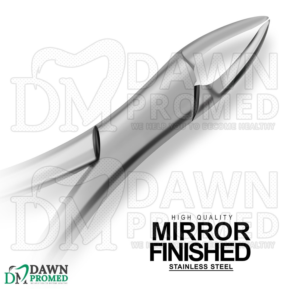 12 Pcs Dental Extracting Forceps Tooth Extraction Instruments Kit Set ...