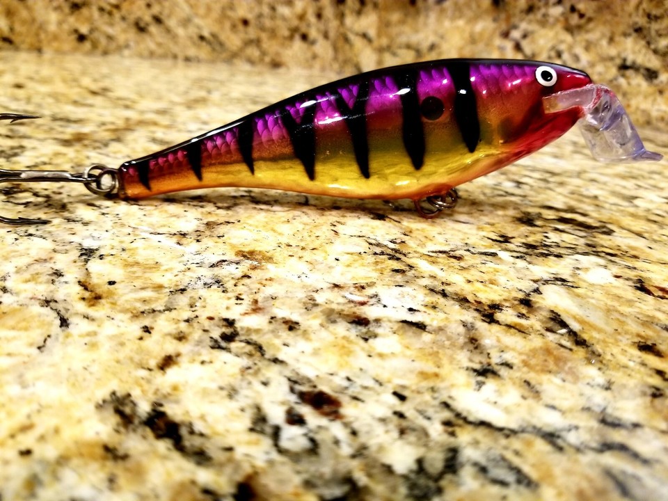 Custom Painted Rapala Super Shad Rap SSR-14 | eBay