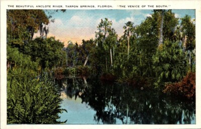 Postcard The Beautiful Anclote River Tarpon Springs Fla | eBay