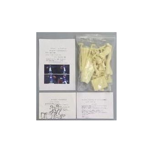 “BLACK LAGOON-” Figure Roberta 1 7 Garage Kit Wonder Festival Used | eBay