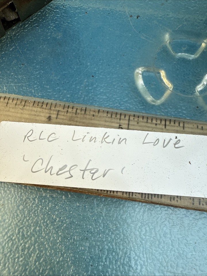 Rlc Linkin Love ‘Chester’ Maroon Yellow Fragrant Mericlone Orchid 4 ...