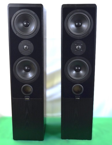 CANTON Ergo 70 Standlautsprecher Boxen (1087) | eBay.de
