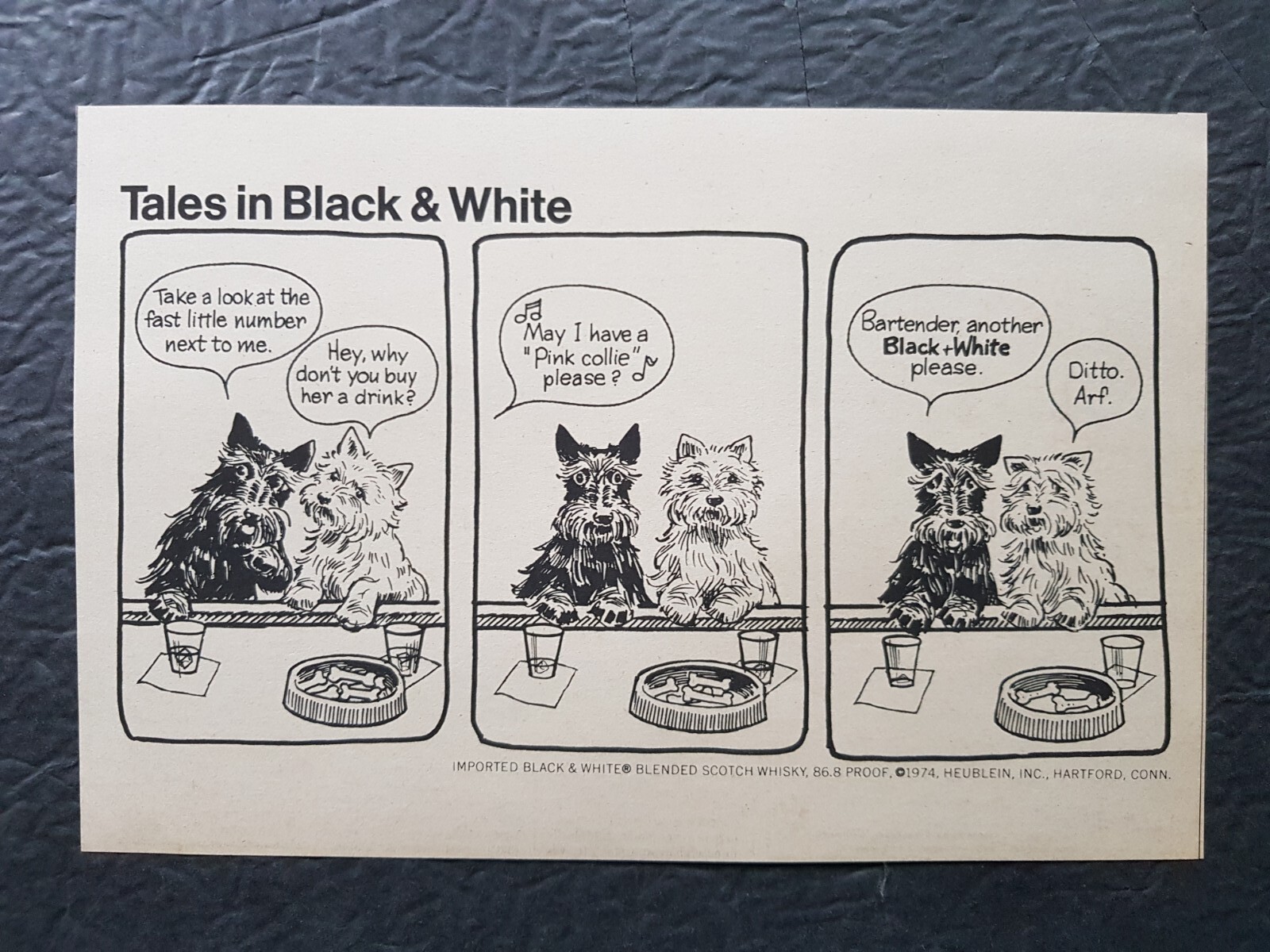 Black & White Blended Scotch Whiskey Promo Print Advertisement Vintage ...