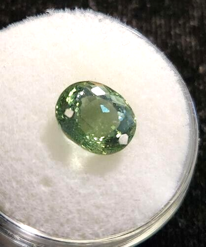Lovely Fancy Cut Green Apatite - 9.4x7.9x6.2mm - 3.37 ct. Total - USA ...