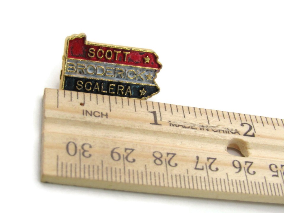 Scott Broderick Scalera Pin Political Pennsylvania State Shape | eBay