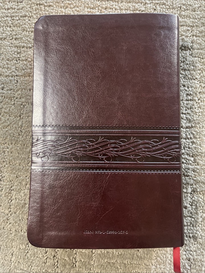 MEV Bible Personal Size Large Print Burgundy Modern English Version ...