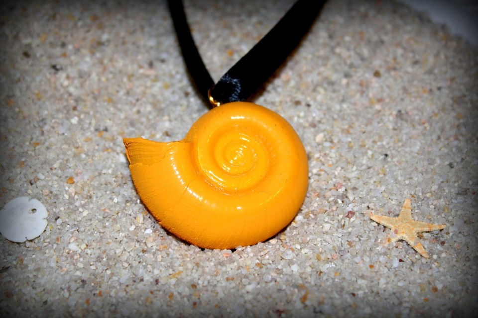 Ram Horn Ursula Sea Witch Enchanted Golden Shell Ariel Mermaid Voice ...