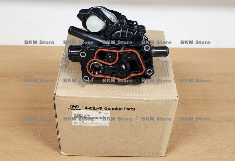 Genuine 256902U000 ACT-Valve for Hyundai Tucson, Kona, Kia Sportage ...