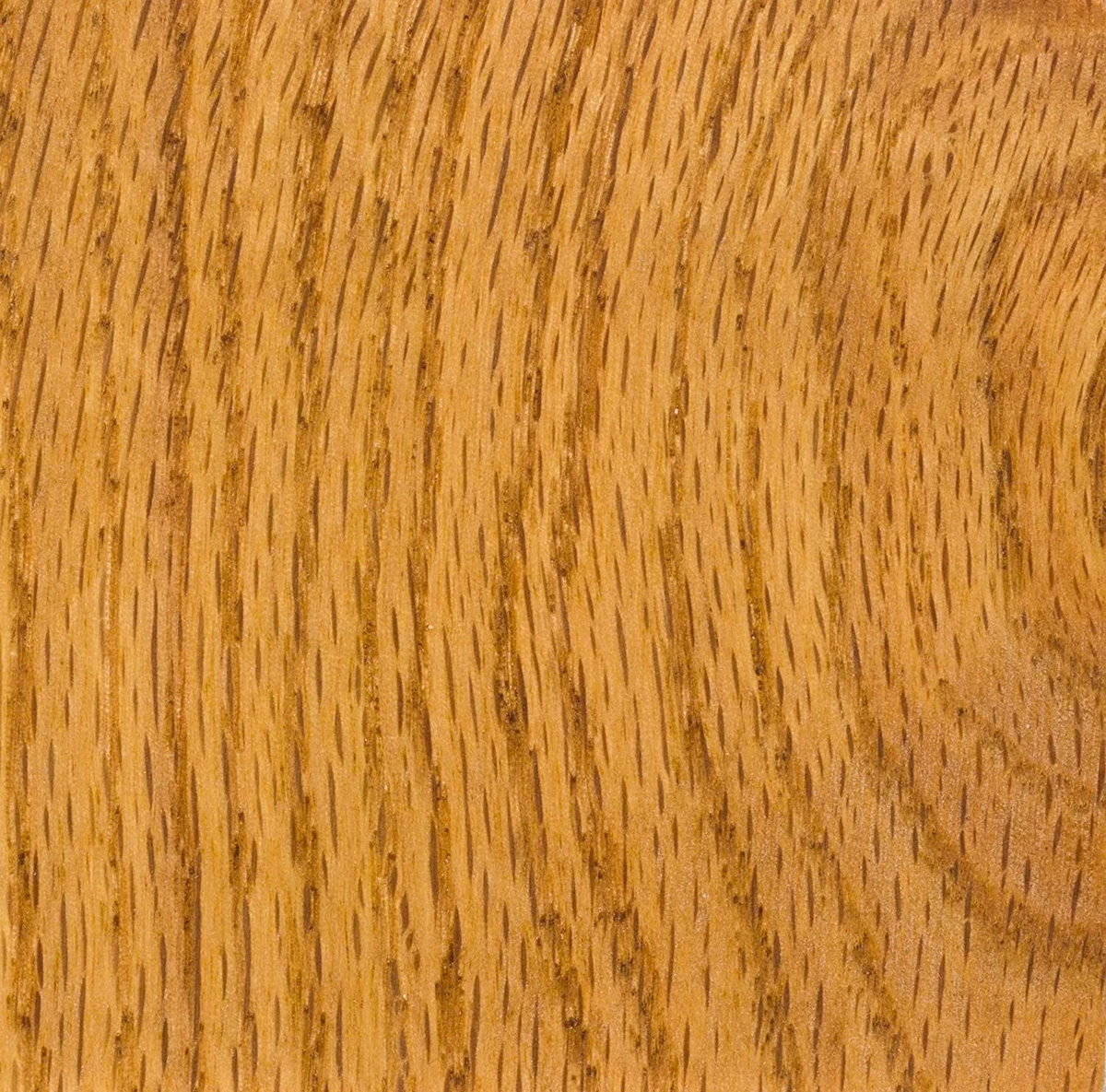 Light Walnut Wood Finish