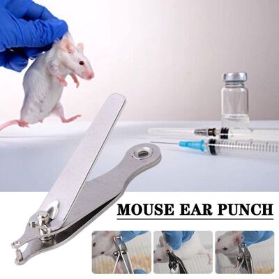 Safe Mouse Ear Punch Stainless steel Ear Hole Punch High Quality Ear ...