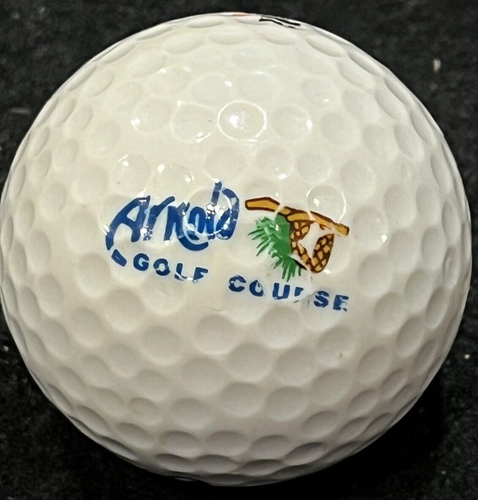 Arnold AFB Golf Course Logo Ball Arnold Air Force Base TN | eBay