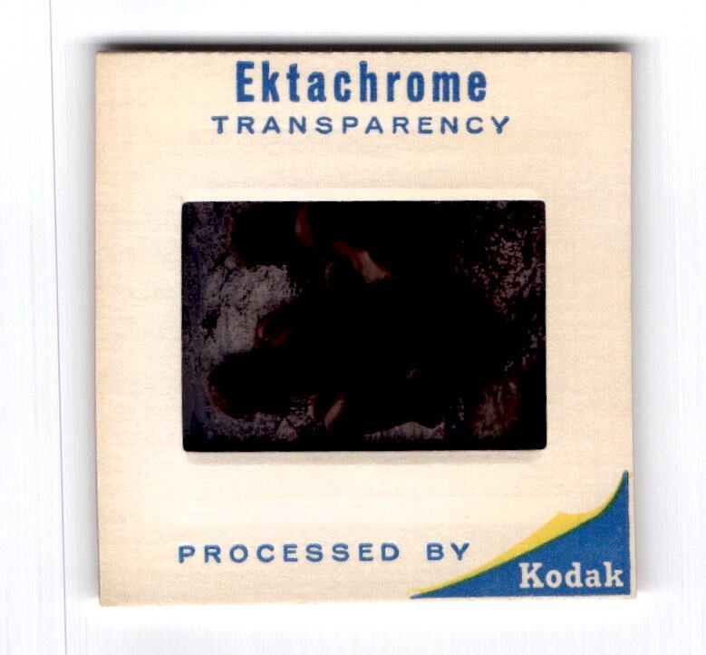 Pretty Woman Handsome Man Swimsuit Photo Shoot Outtakes 35mm Slide ...