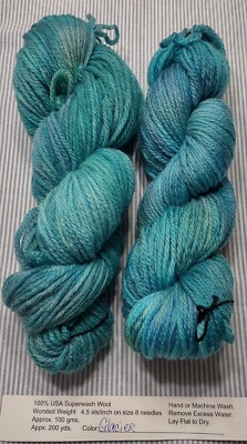 2 Skeins Handpainted Superwash Worsted Wool Yarn Knit Weave USA NWT ...