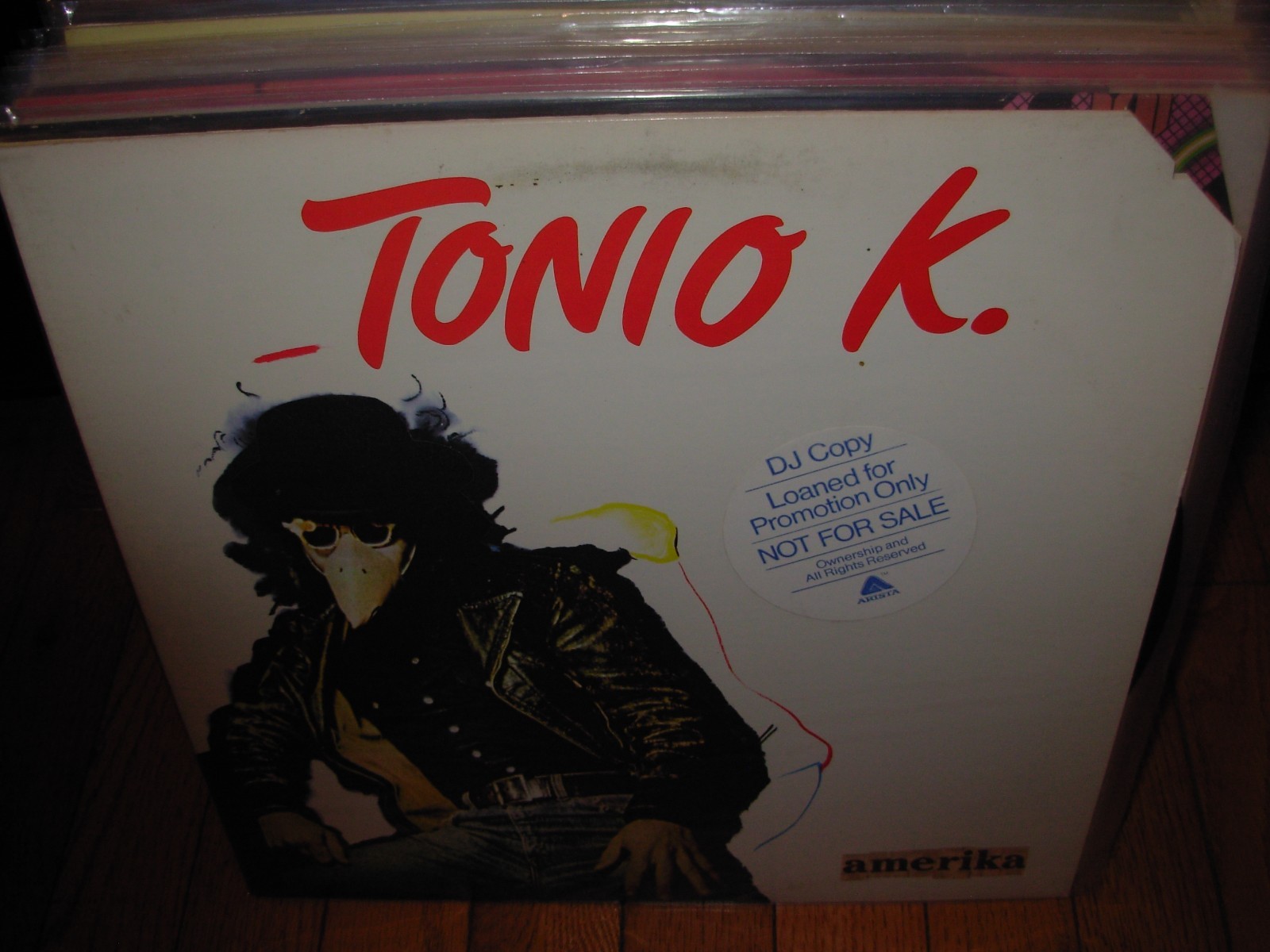 TONIO K amerika ( rock ) PROMO | eBay