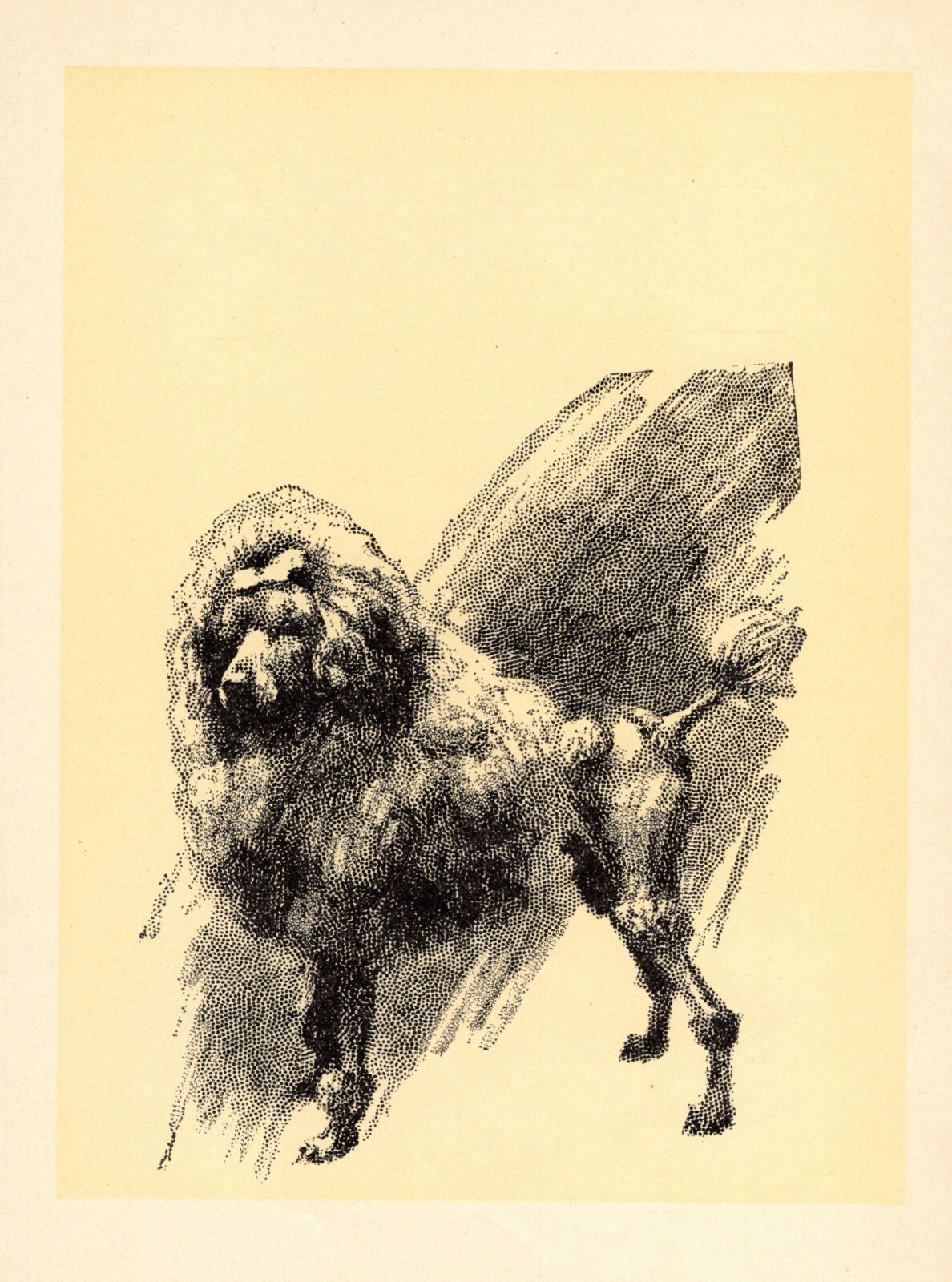 Vintage Poodle Print 1930s Poodle Wall Art Print Decor 5348a | eBay