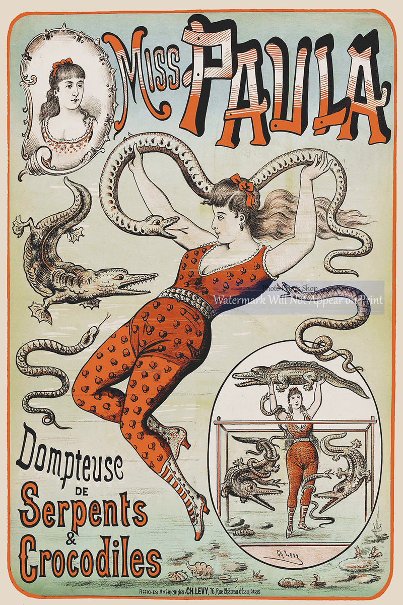 Vintage Circus Sideshow Poster