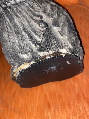 Halloween Prop VULTURE prop. Hard To Find SEASONS. Used. Rare Vulture ...