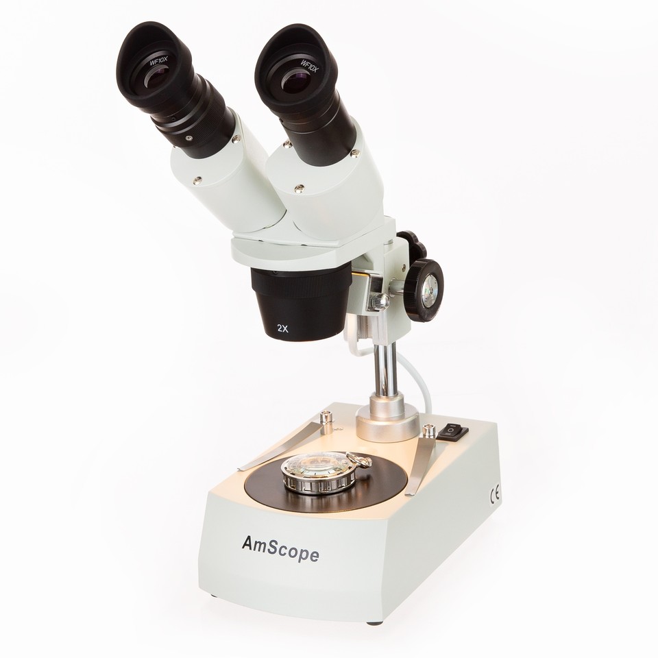 AmScope 40X-80X Student Binocular Stereo Microscope with Dual Lights ...