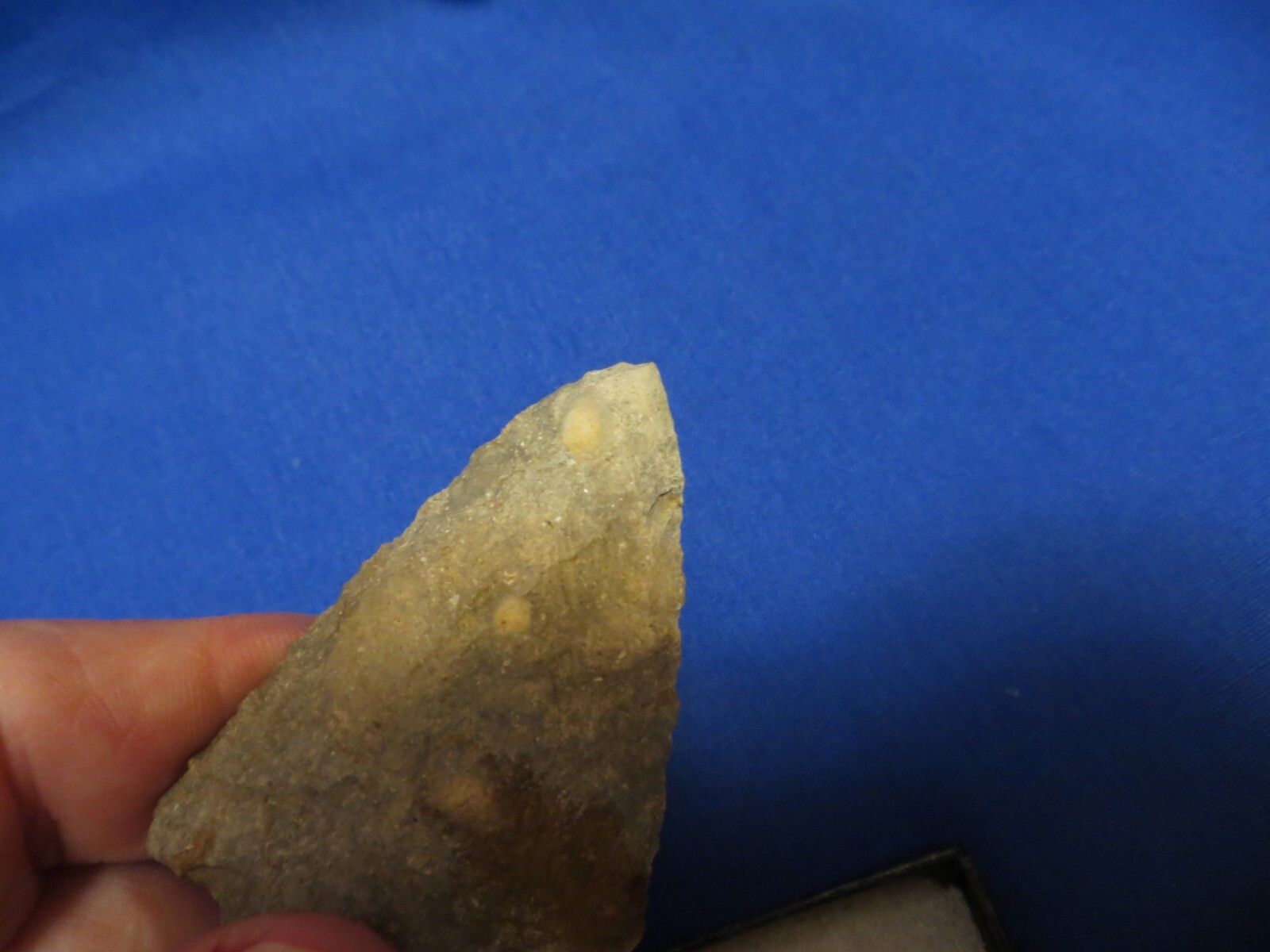 Archaic Bevel Arrowhead Point Delaware Chert Licking Ohio Utt ...